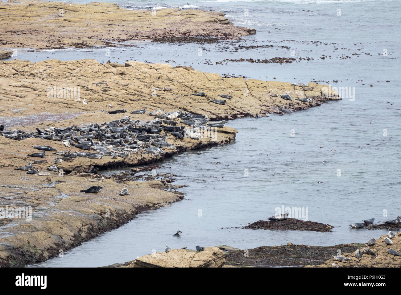 Peak alum works ravenscar hi-res stock photography and images - Alamy