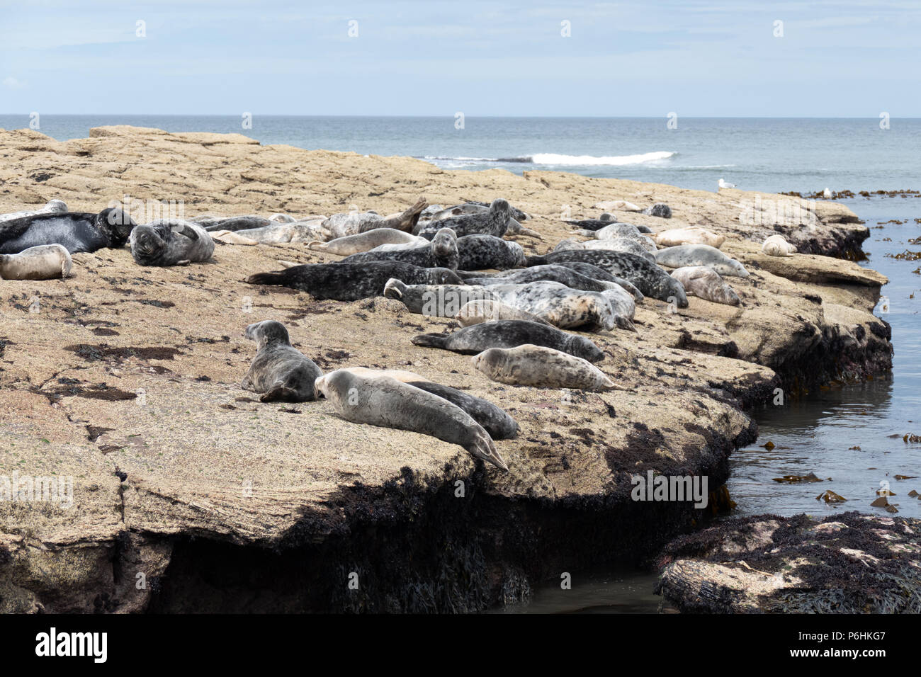 Peak alum works ravenscar hi-res stock photography and images - Alamy