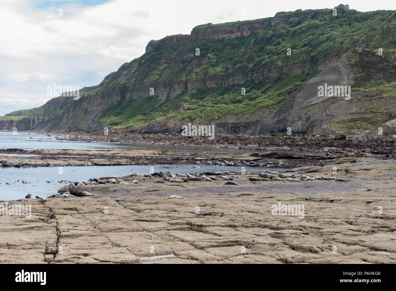 Peak Alum Works Ravenscar High Resolution Stock Photography and Images ...
