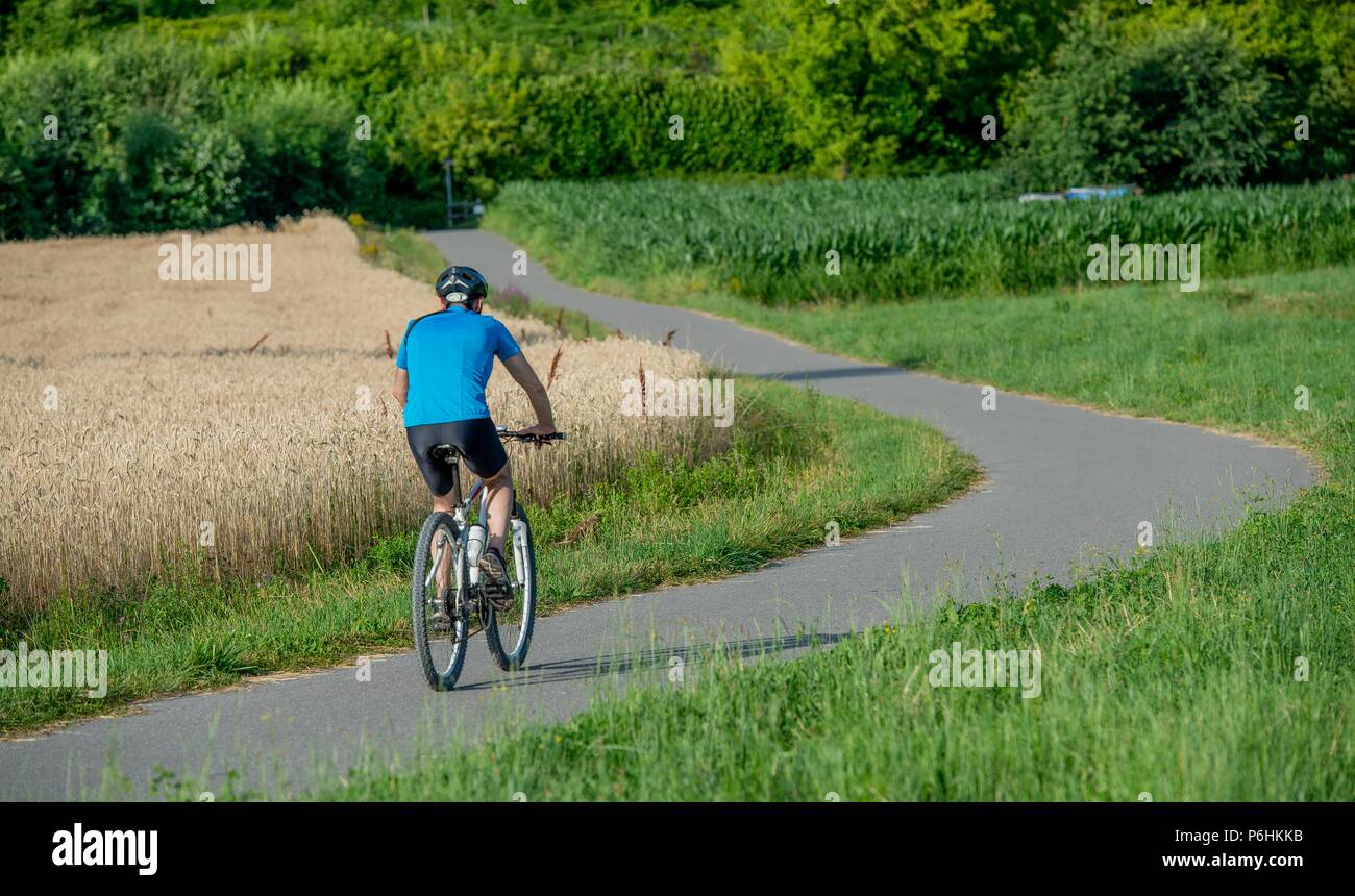 cycle path in the middle of nature Stock Photo - Alamy