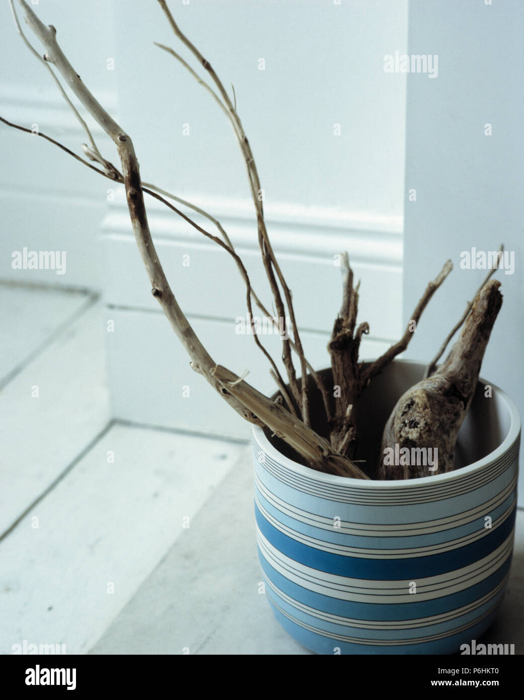 Close-up of driftwood in blue striped pot Stock Photo - Alamy