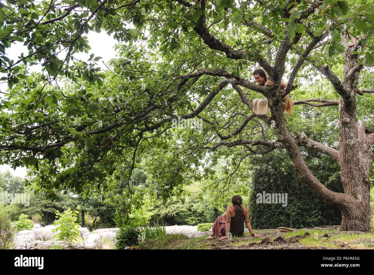 Neo druidas hi-res stock photography and images - Alamy