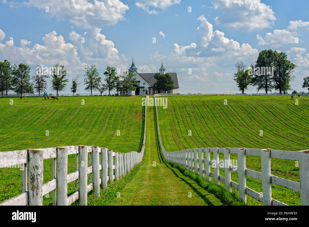 Manchester horse farm hi-res stock photography and images - Alamy