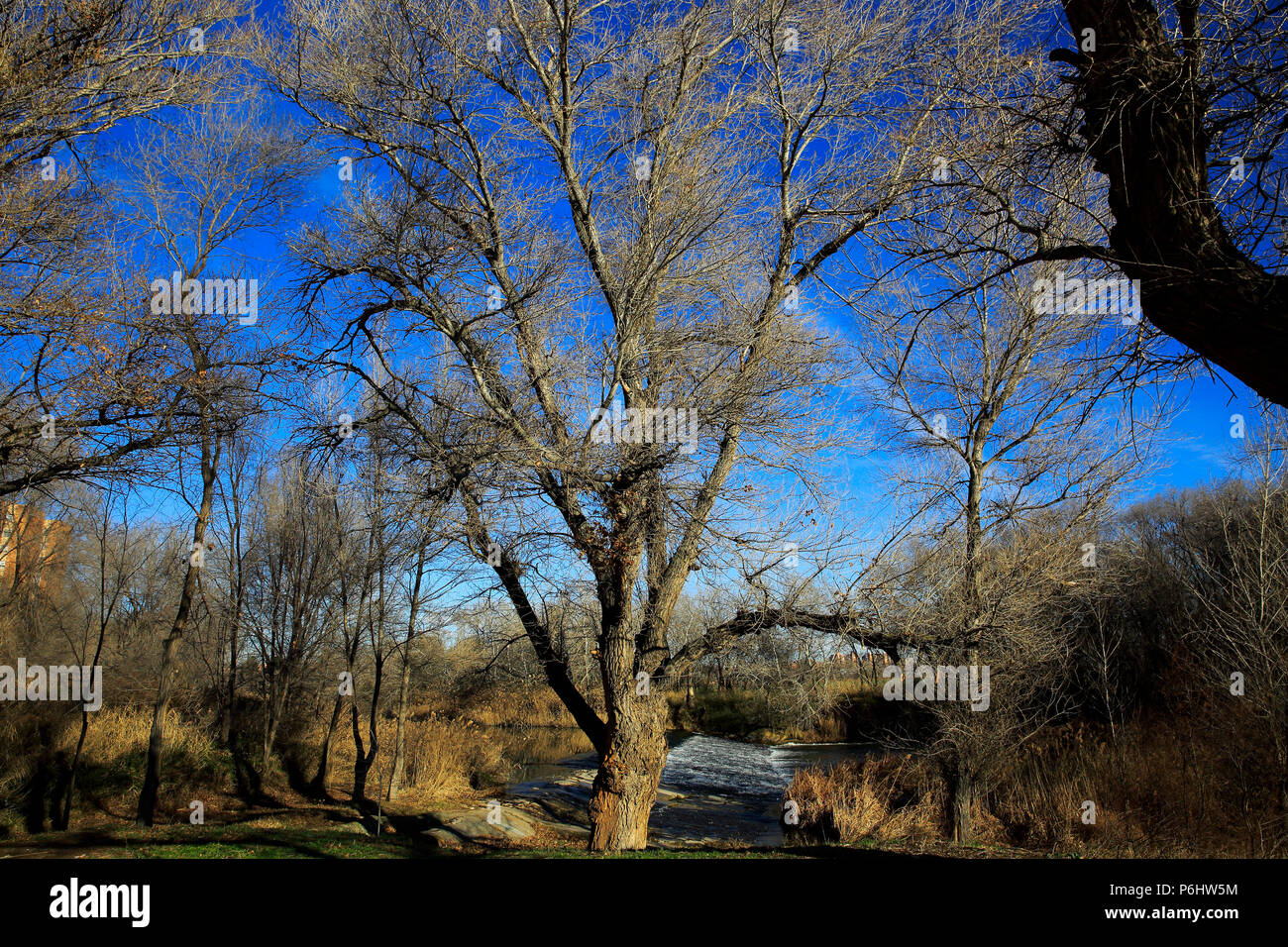 Henares river hi-res stock photography and images - Alamy