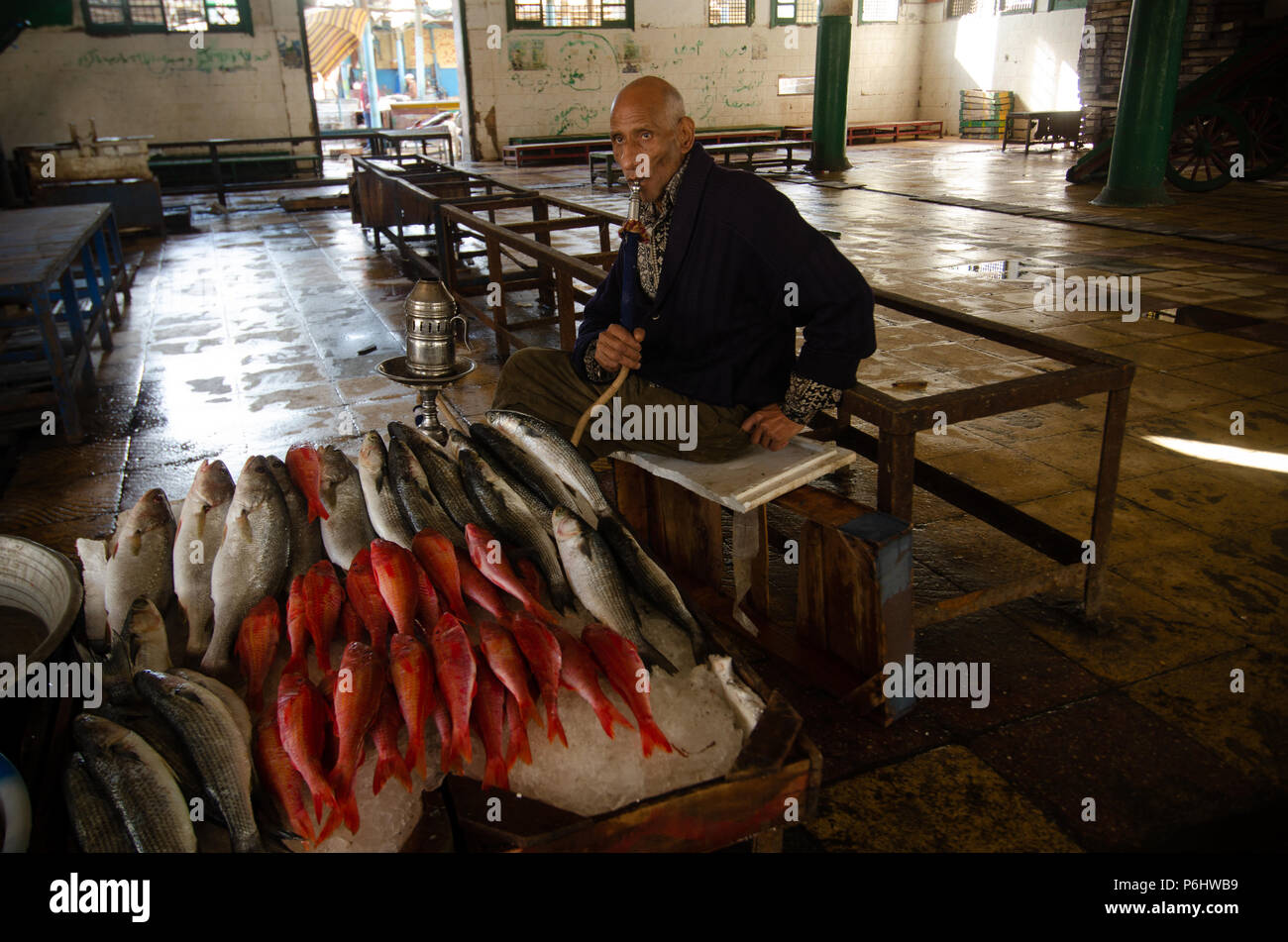 Fish Market Trader Alexndria Egypt Stock Photo - Alamy