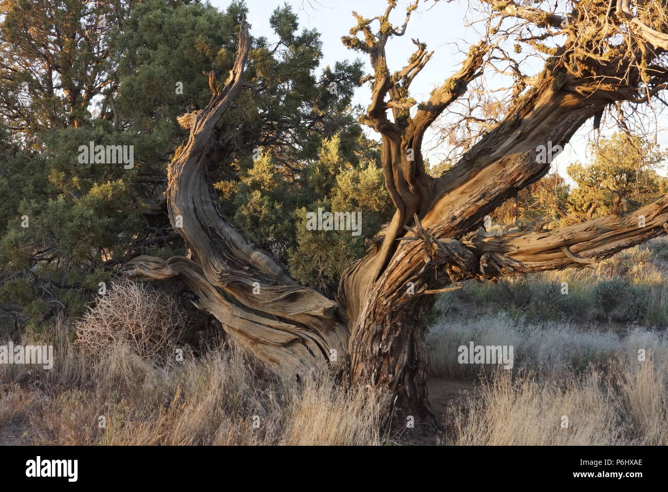 Badlands detail hi-res stock photography and images - Alamy