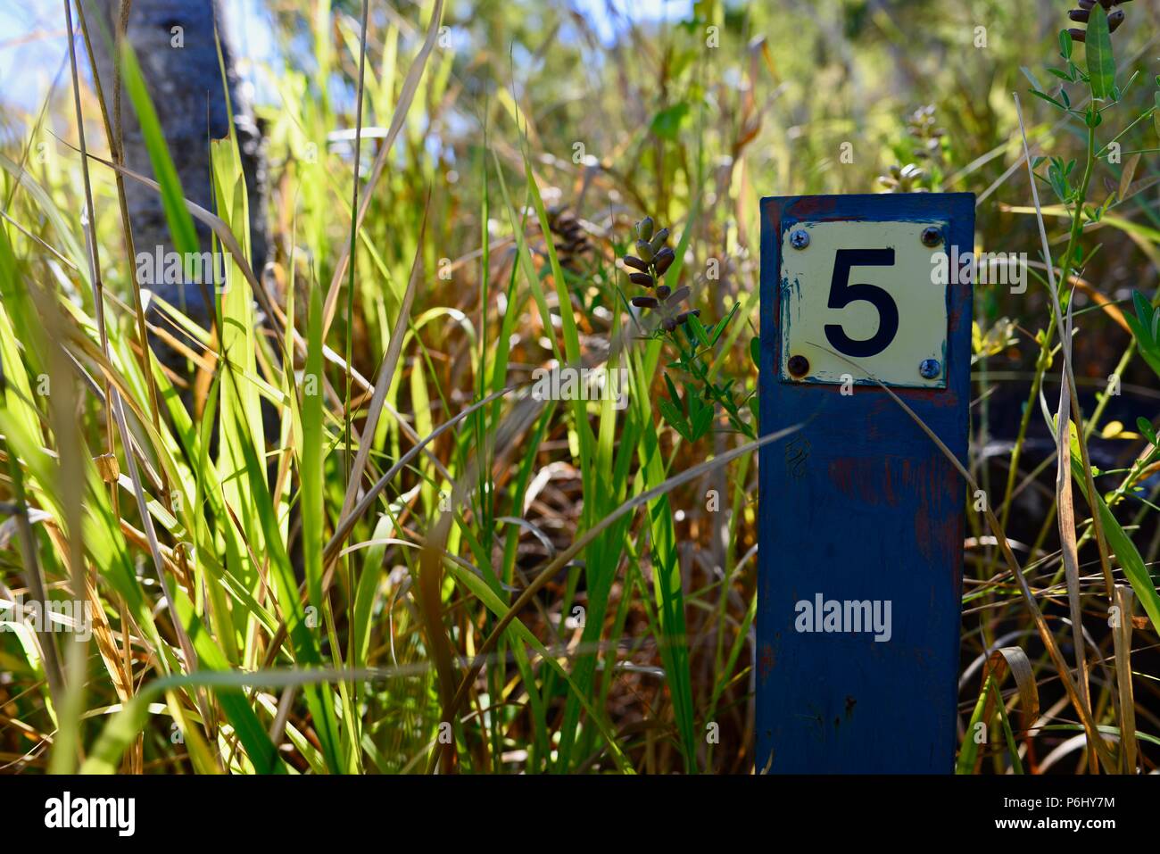 Number 5 sign signage indicator hi-res stock photography and images - Alamy