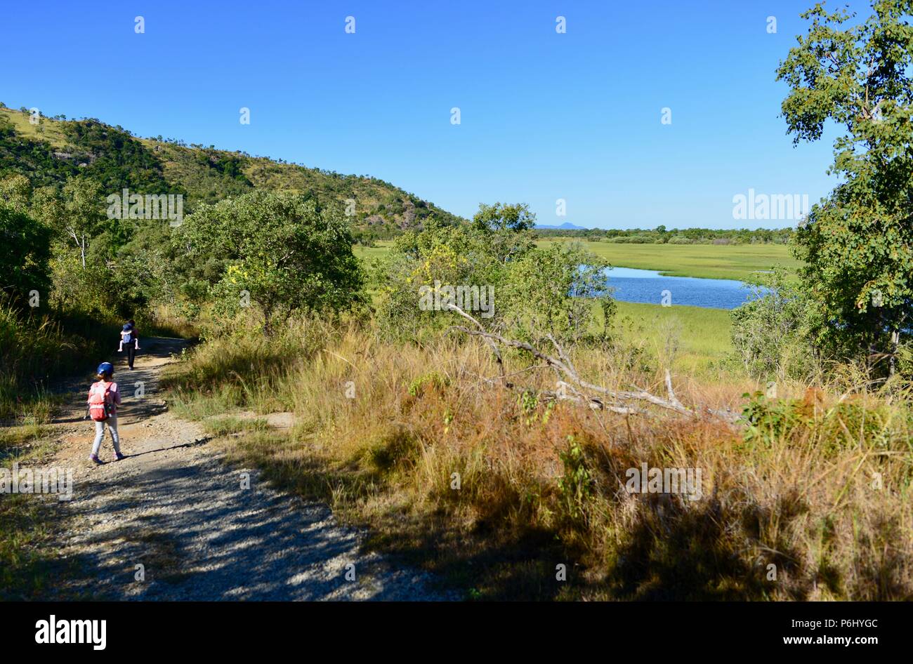 Wetlands the Australian bush and a dirt road, Many peaks hike to Mount ...