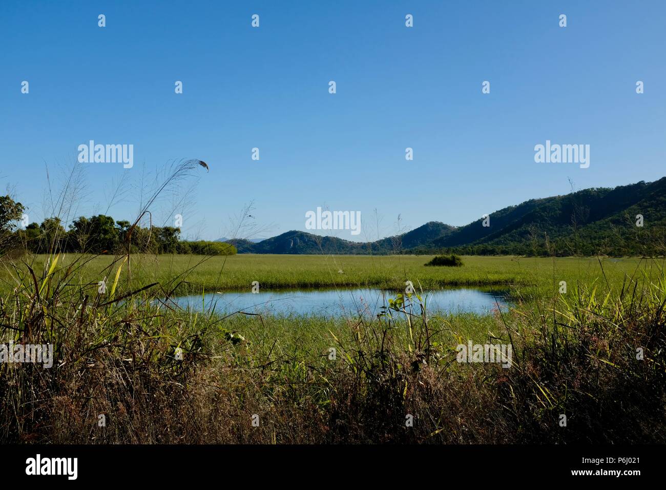 Small lake in a wetland surrounded by grass and mountains, Many peaks ...