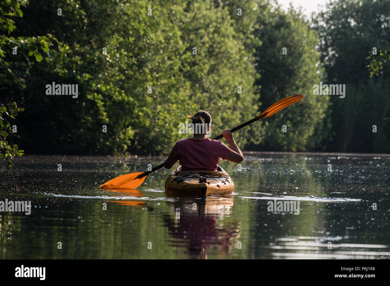 kayaking on an idyllic river in germany Stock Photo - Alamy