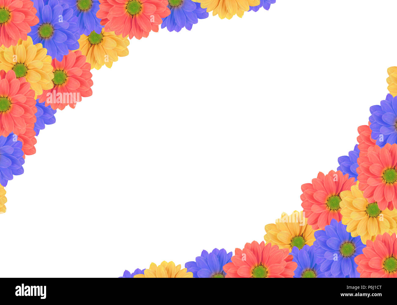 Beautiful blue, yellow and pink fresh daisy flower like corner frame ...