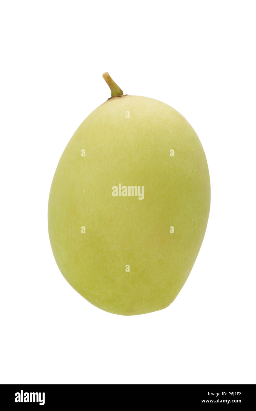 Friont view iof Plum Mango or Marian Plum fruits (Bouea macrophylla ...