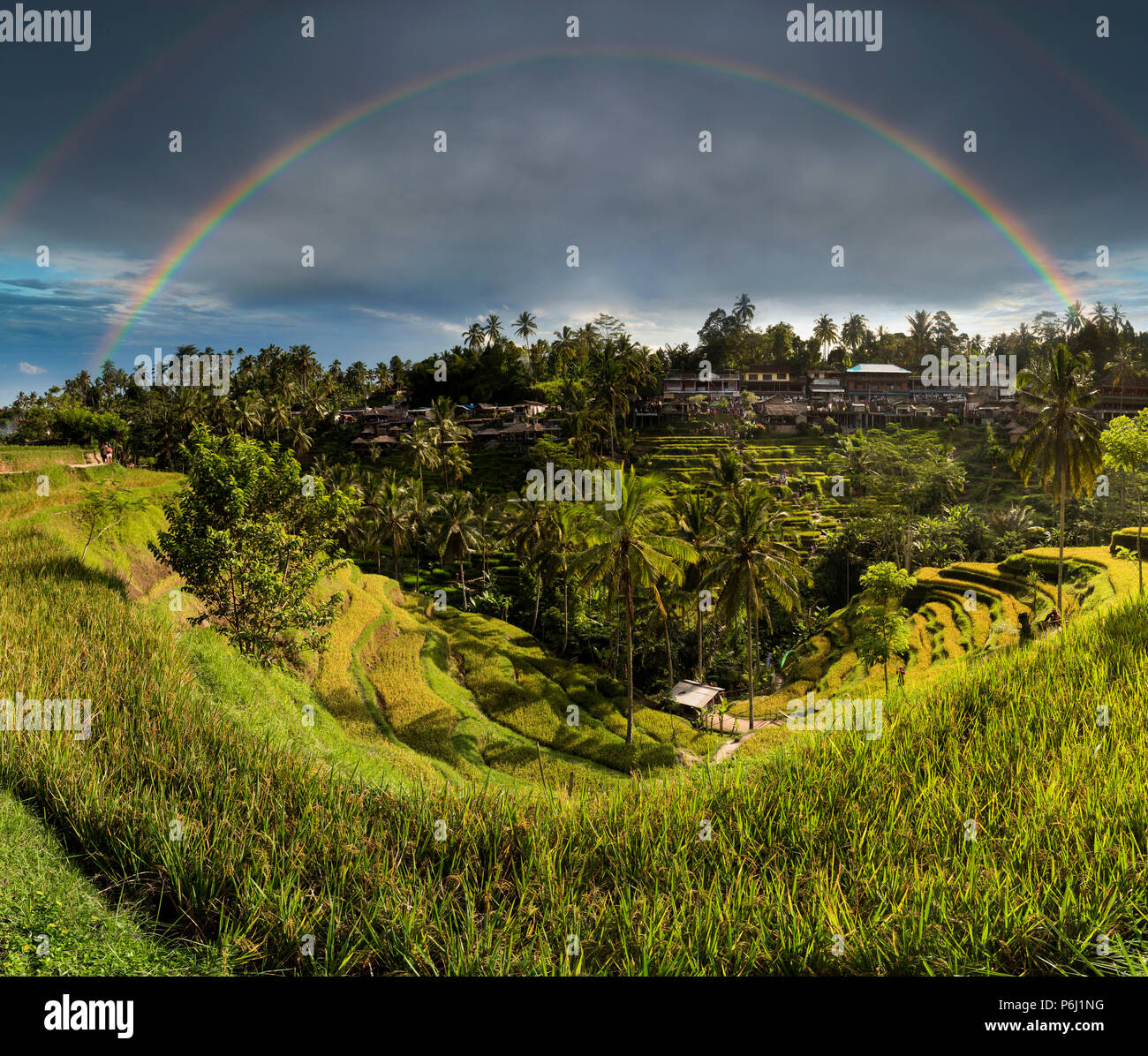 Tegalalang rice plantation terrace in Bali, Indonesia Stock Photo - Alamy