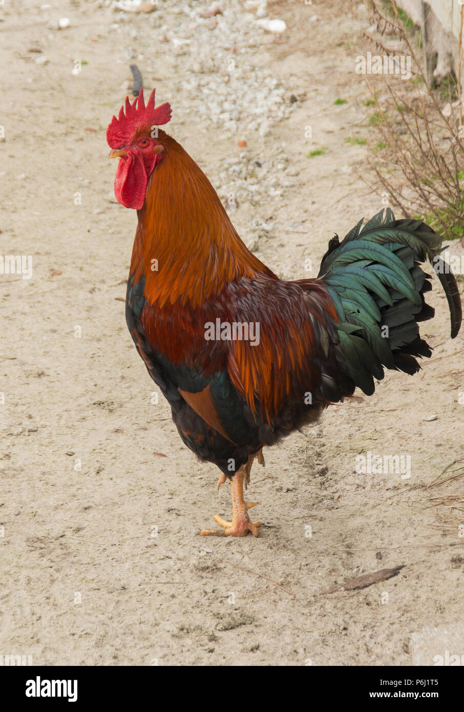 Argiculter hi-res stock photography and images - Alamy