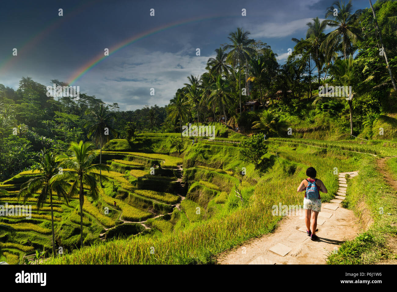 Tegalalang rice plantation terrace in Bali, Indonesia Stock Photo - Alamy