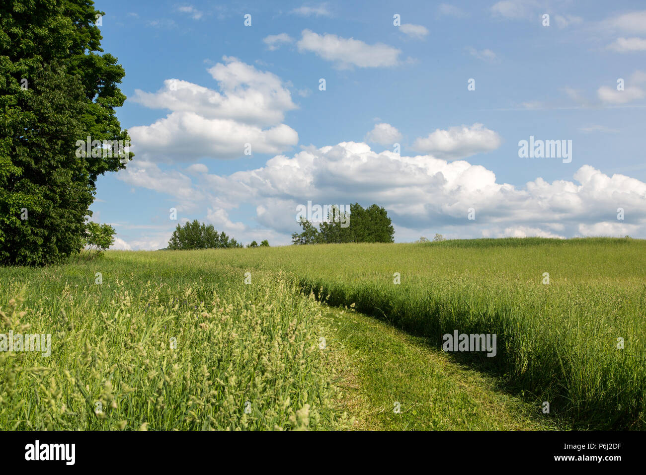 Vt summer field hi-res stock photography and images - Alamy