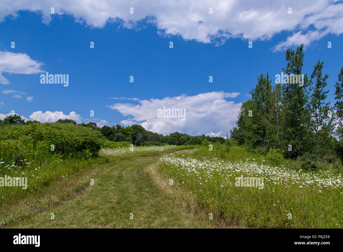 Vt summer field hi-res stock photography and images - Alamy