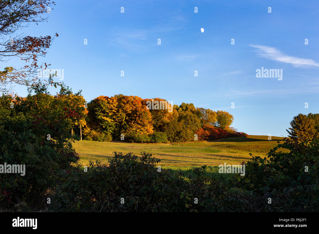 Vt fall field hi-res stock photography and images - Alamy