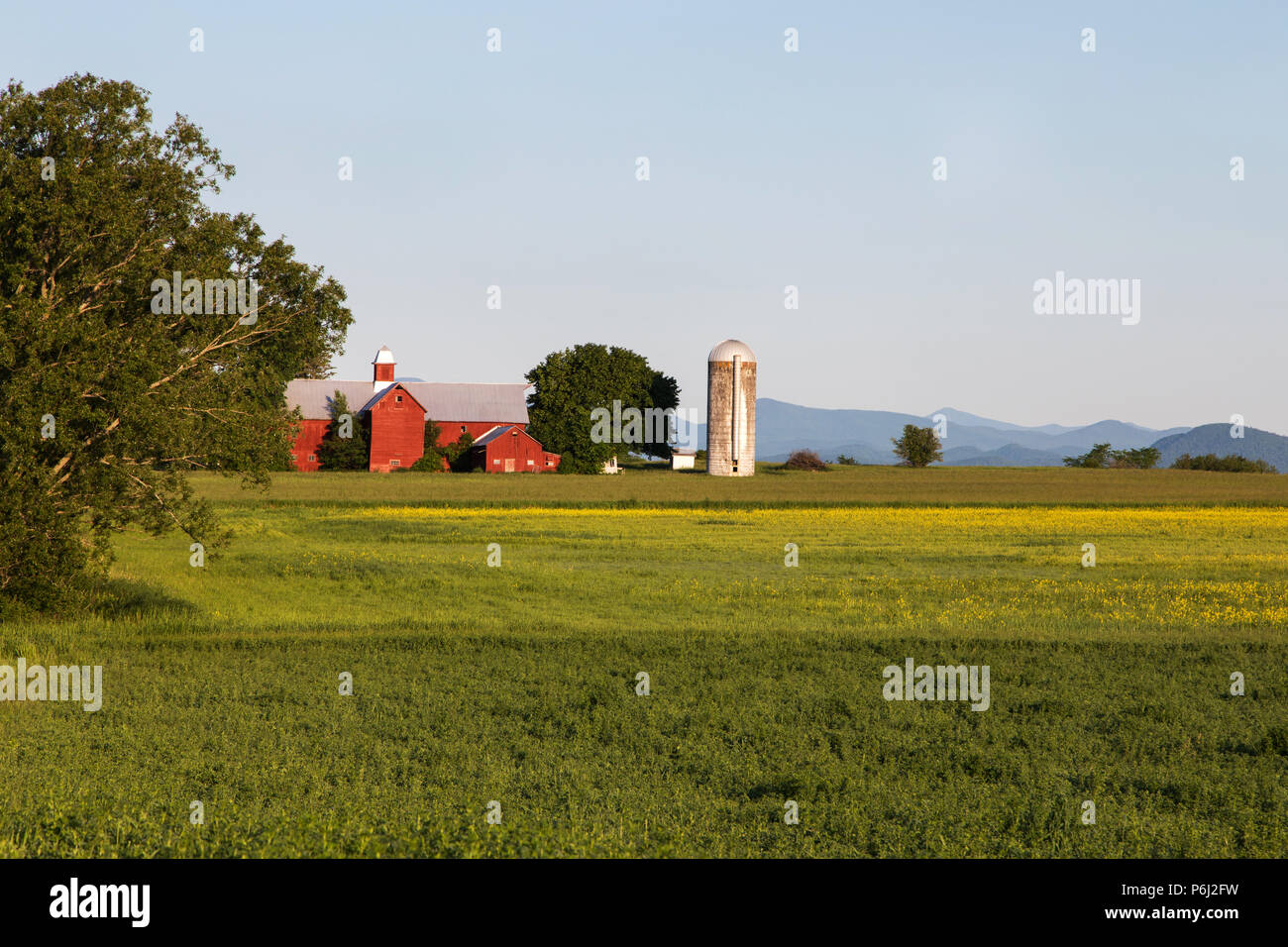 Vt summer field hi-res stock photography and images - Alamy