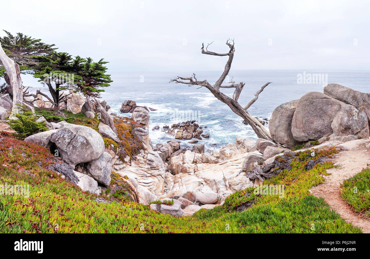 Coast drive landscape hi-res stock photography and images - Alamy