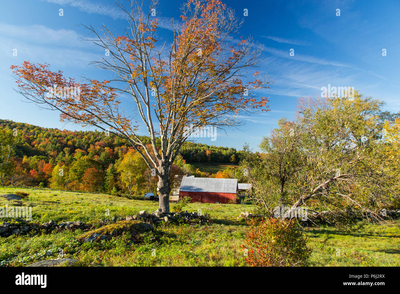 Blue sky red barn fall trees hi-res stock photography and images - Alamy