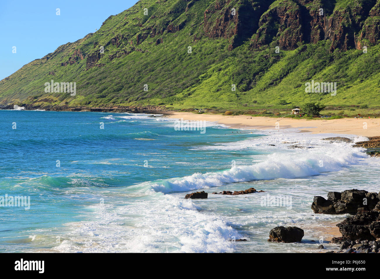 Yokohama Beach - Kaena Point State Park, Oahu, Hawaii Stock Photo - Alamy