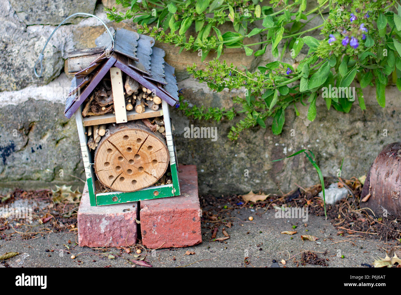 Bug house hi-res stock photography and images - Alamy
