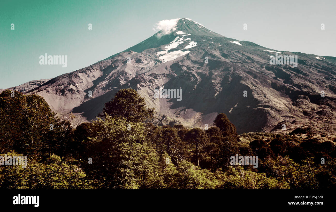 Spectacular view on Lanin volcano in Patagonian Andes on the border of ...