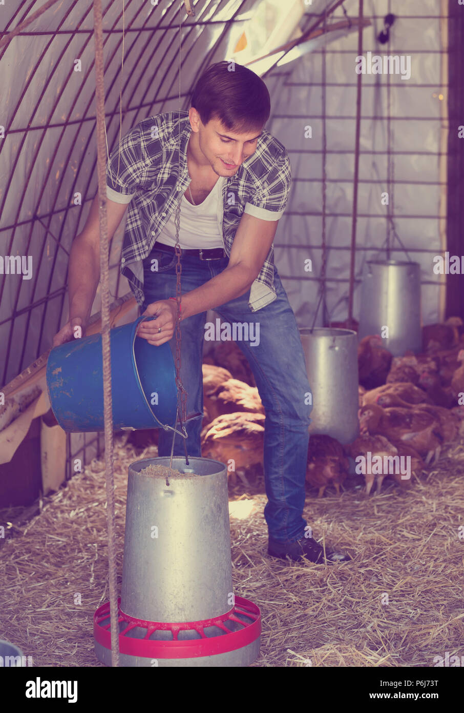 Smiling man farmer holding bucket with chicken forage in henhouse Stock ...