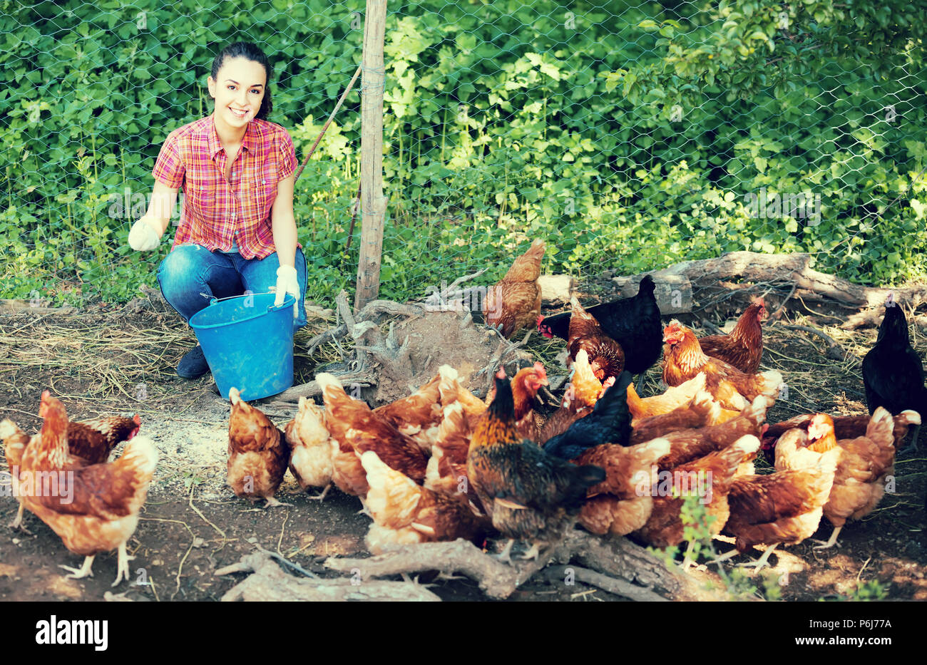cheerful young female farmer standing with bucket and feeding chickens ...