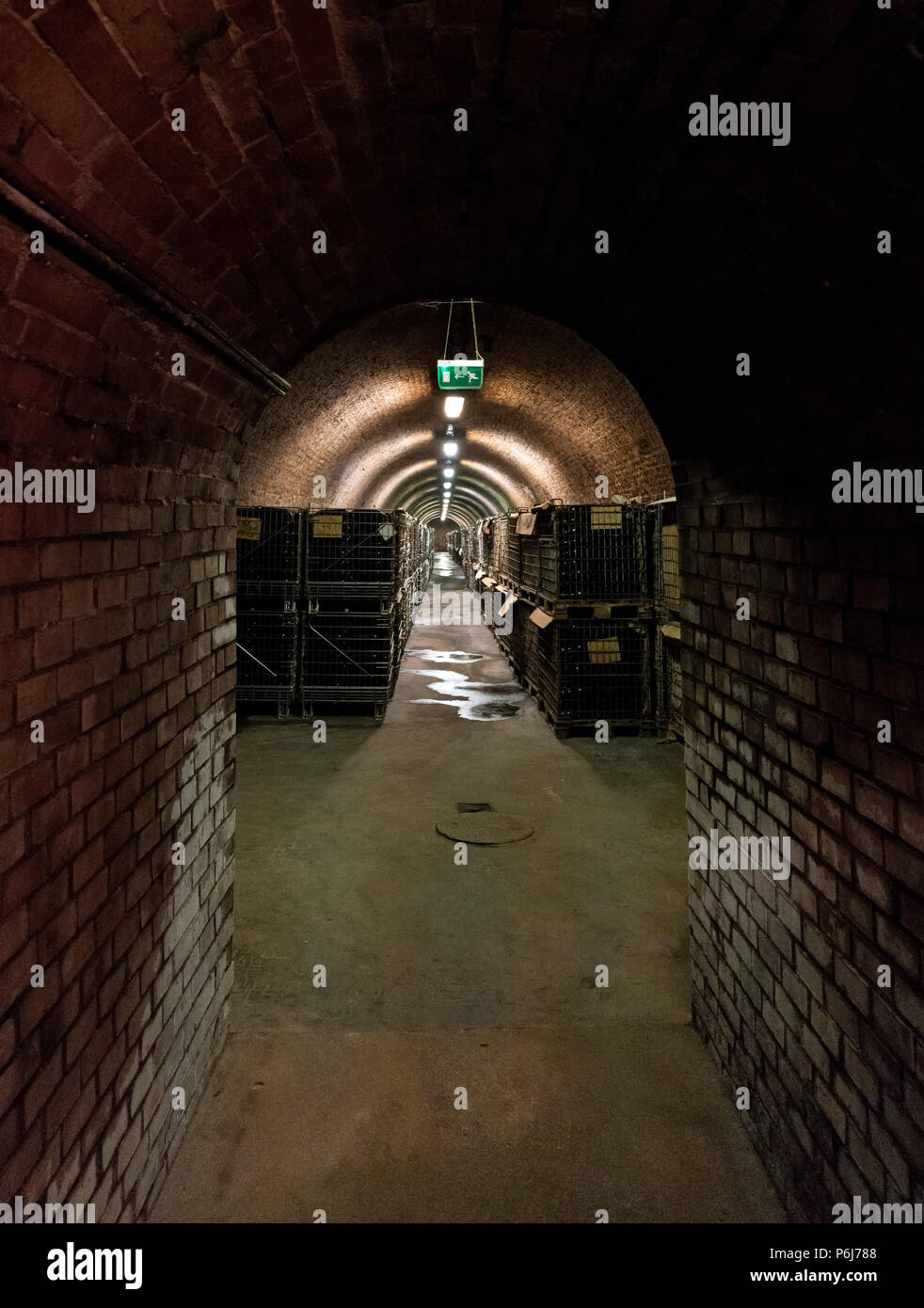 Wine cellar in Torley Wine company. Torley producing 21,5 million ...