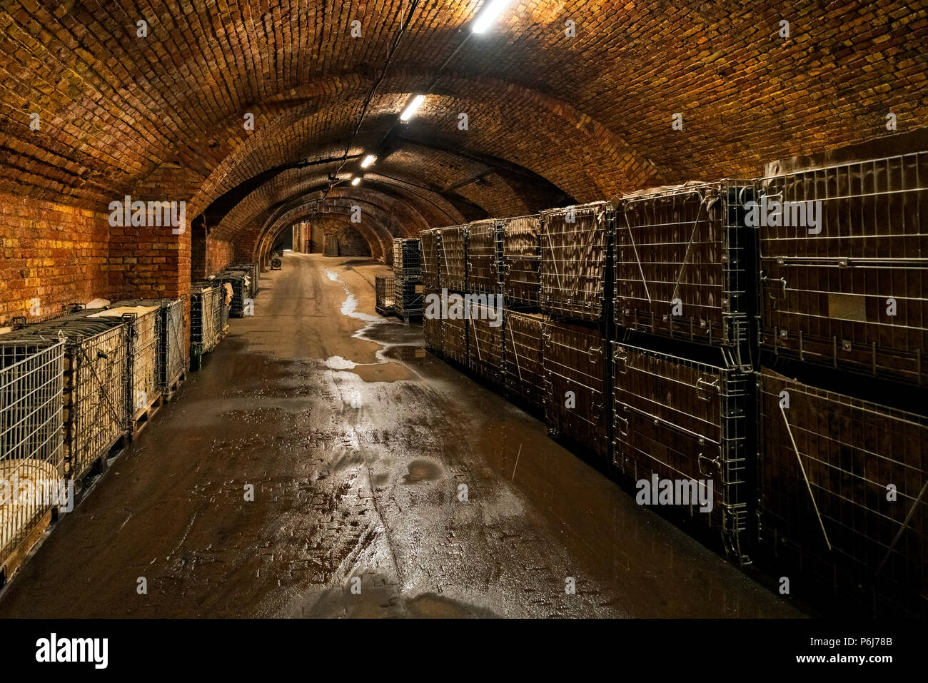 Wine cellar in Torley Wine company. Torley producing 21,5 million ...