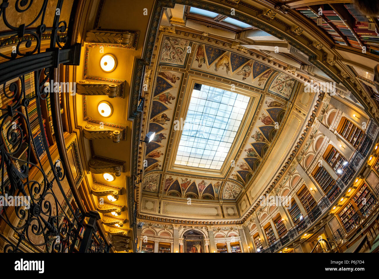 Eotvos High Resolution Stock Photography and Images - Alamy