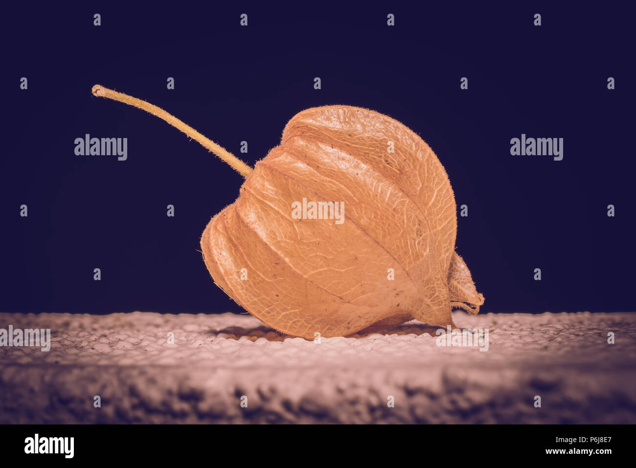 Ground cherry hi-res stock photography and images - Alamy