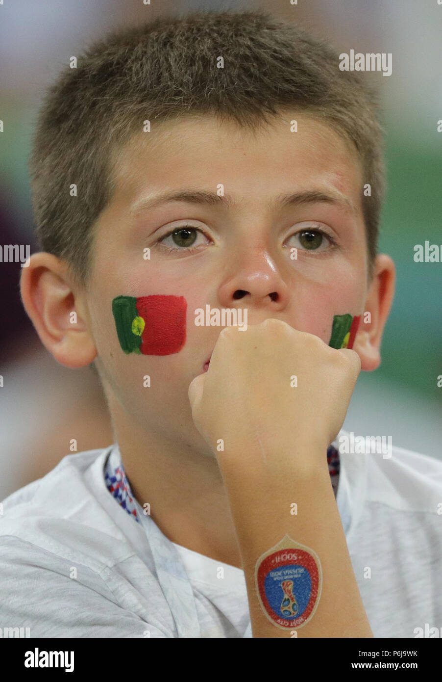 Portugal fan in the stands hi-res stock photography and images - Alamy