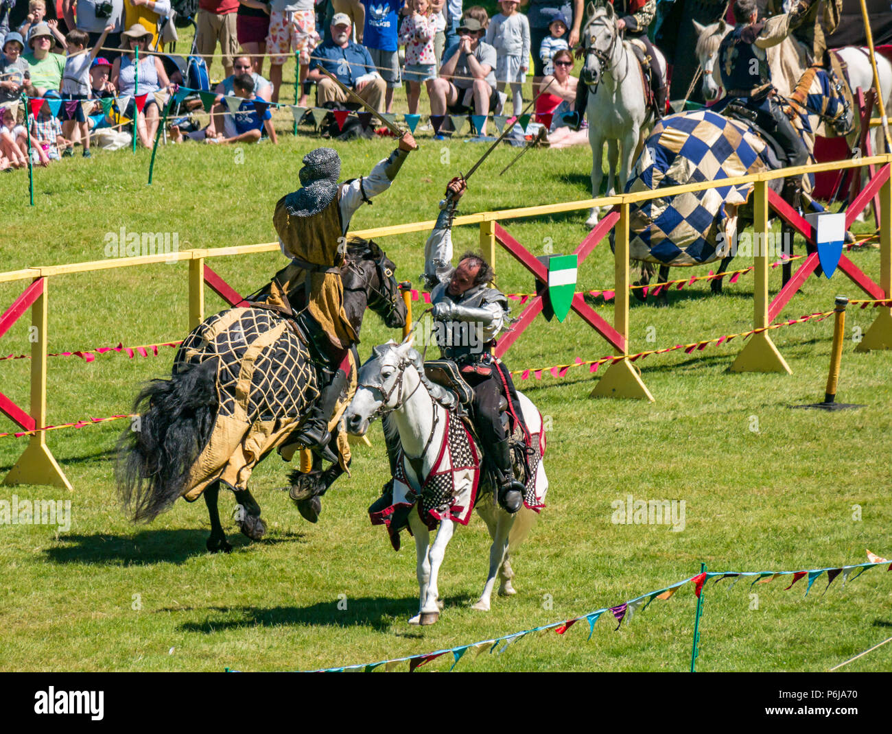 Knights On Horses Fighting