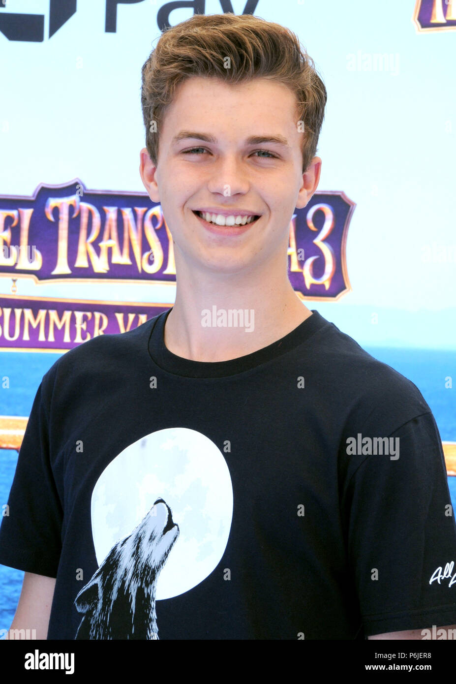Los Angeles, USA. 30th Jun, 2018. Actor Jacob Hopkins attends the World ...