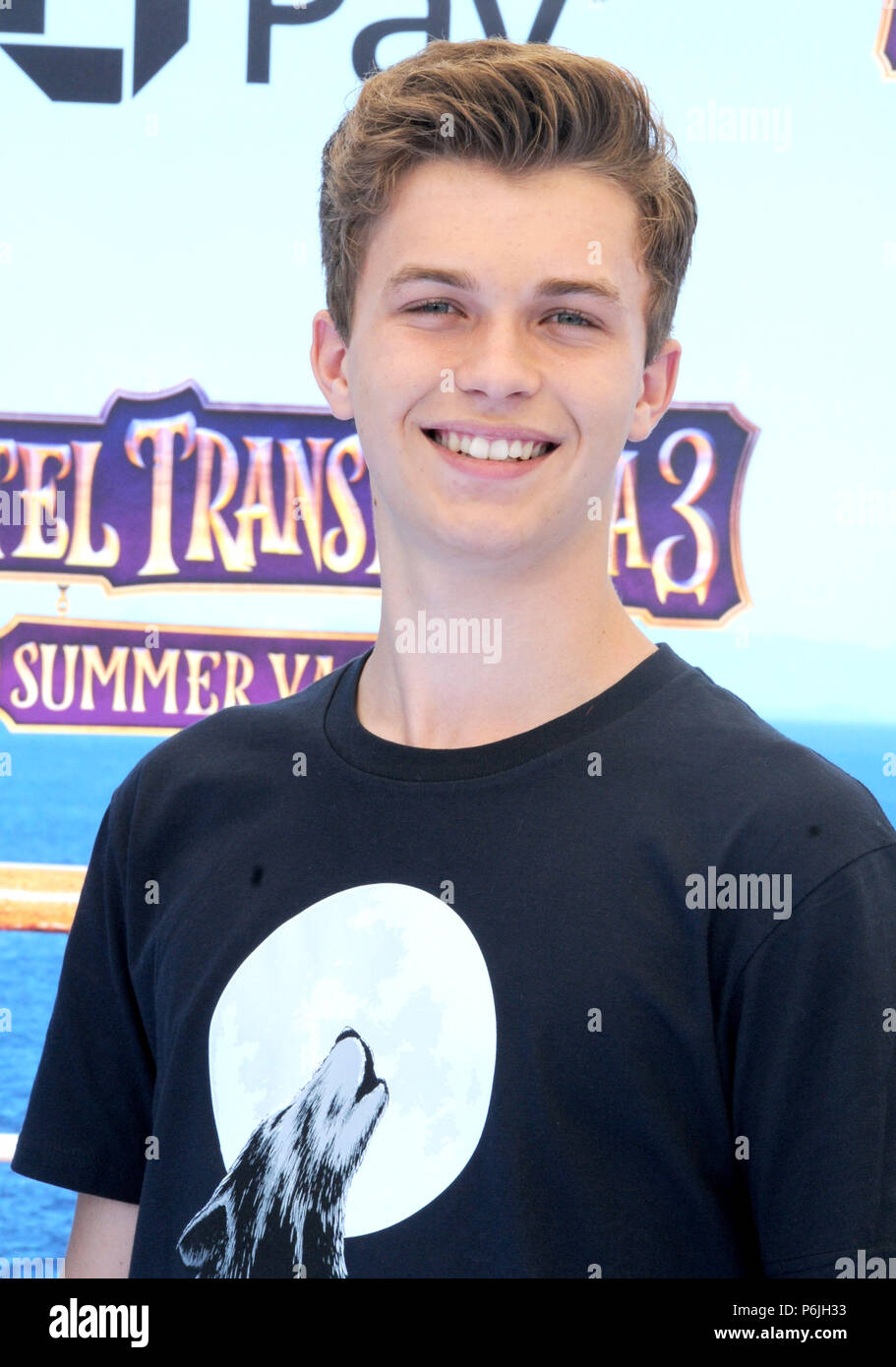Los Angeles, USA. 30th Jun, 2018. Actor Jacob Hopkins attends the World ...
