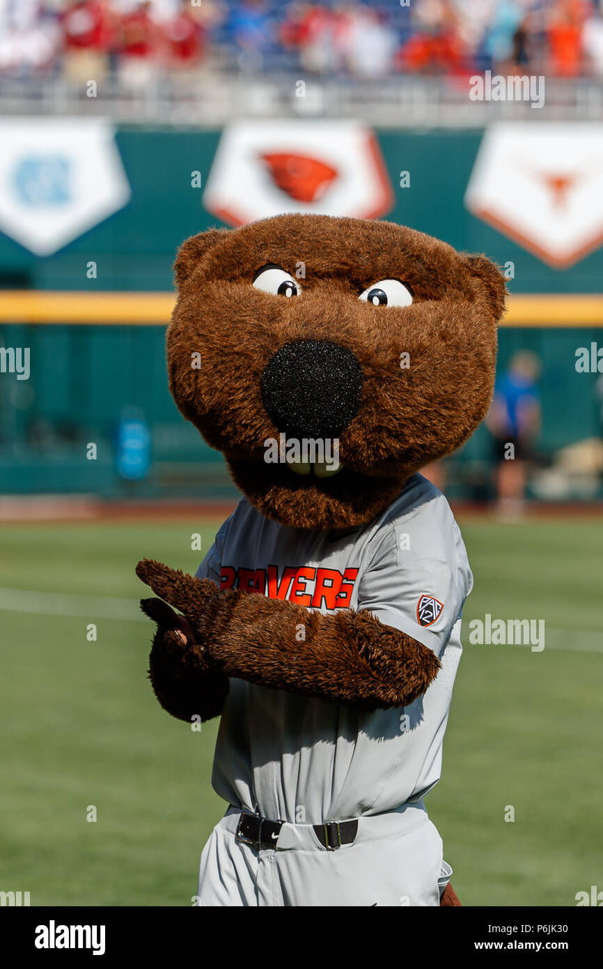 Arkansas razorbacks mascot hi-res stock photography and images - Alamy