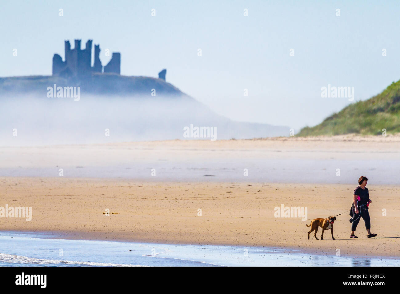 A woman walks her dog on the beach with the ruins of Dunstanburgh ...