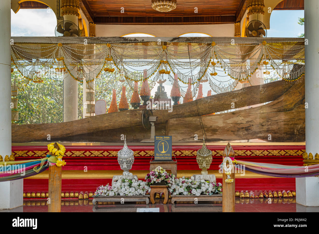 Manikhoth is sacred tree in Buddhist tradition, which always stays ...