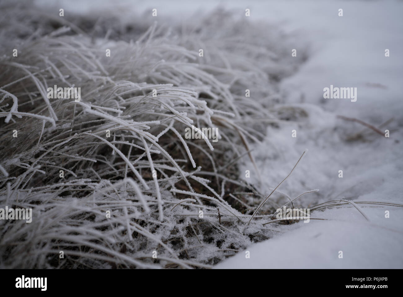 Season texture hi-res stock photography and images - Alamy