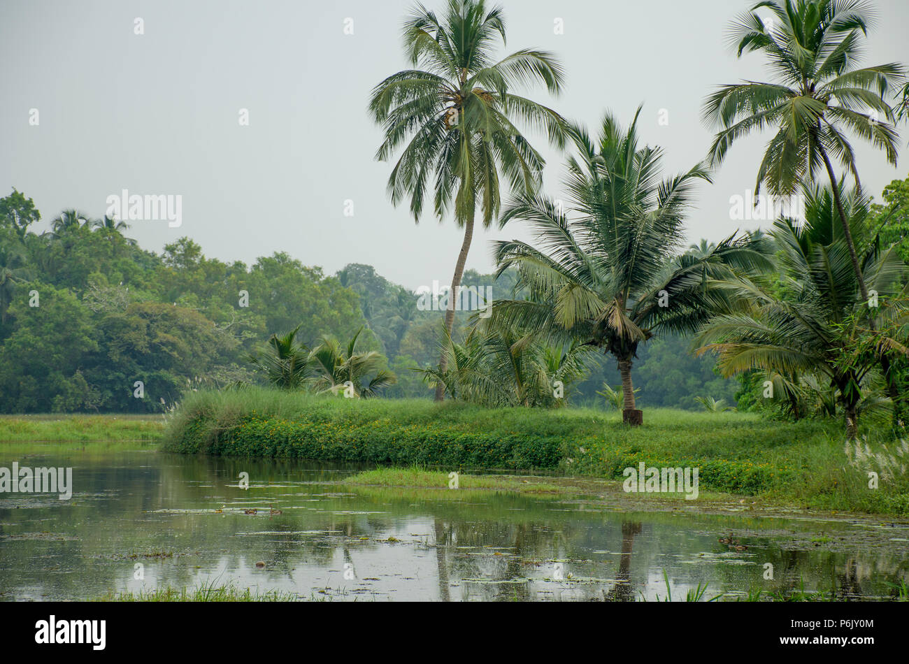 Beautiful tropical landscape with the river in India Stock Photo - Alamy