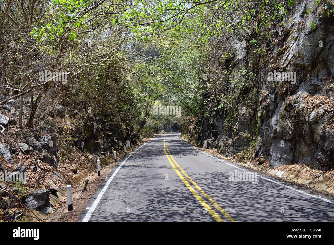 Jungle Landscape views from the rural small village road to El Eden by ...