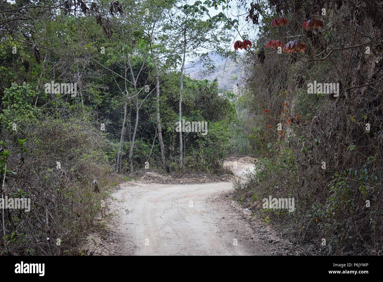 Jungle Landscape views from the rural small village road to El Eden by ...