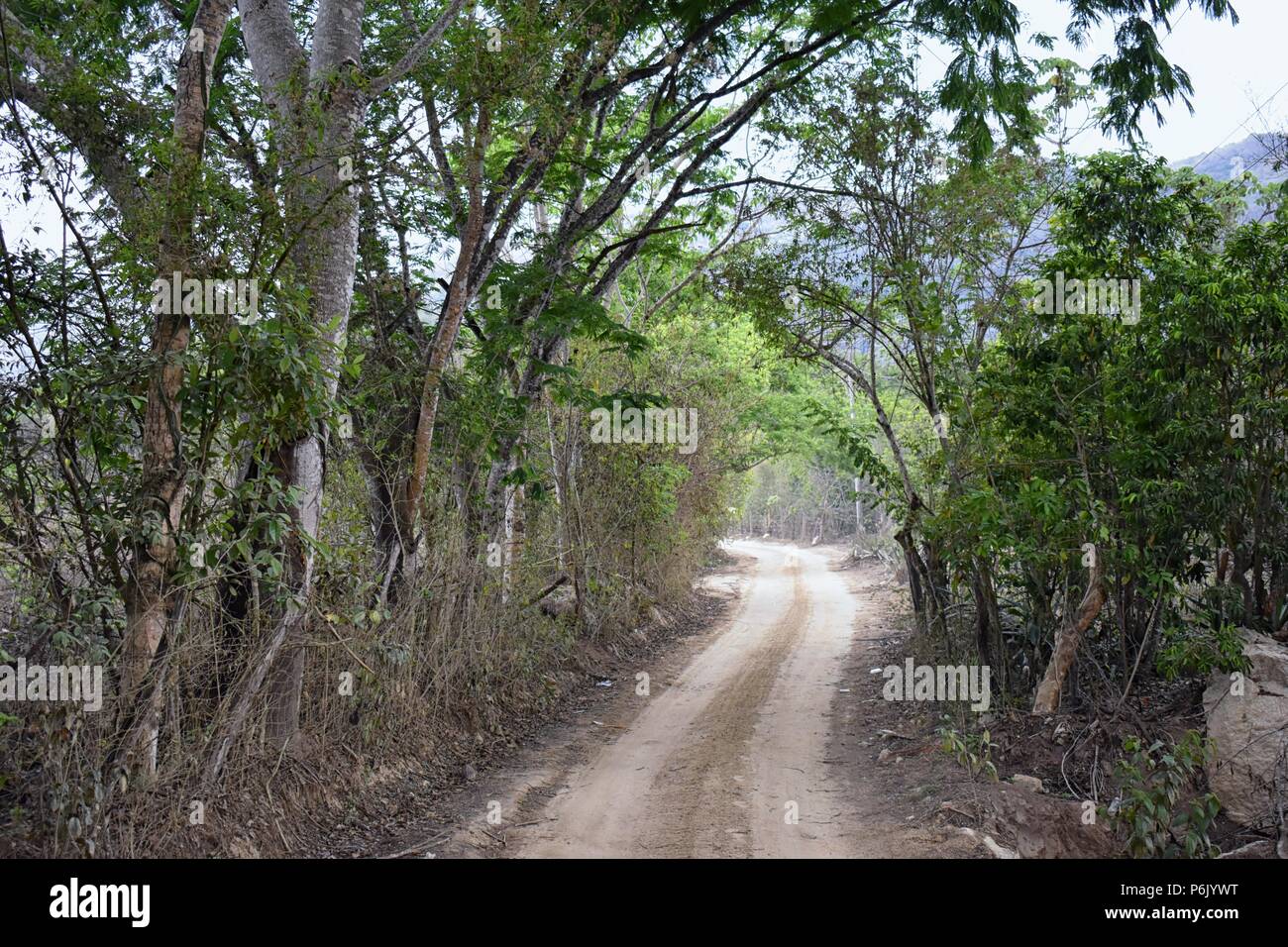 Jungle Landscape views from the rural small village road to El Eden by ...