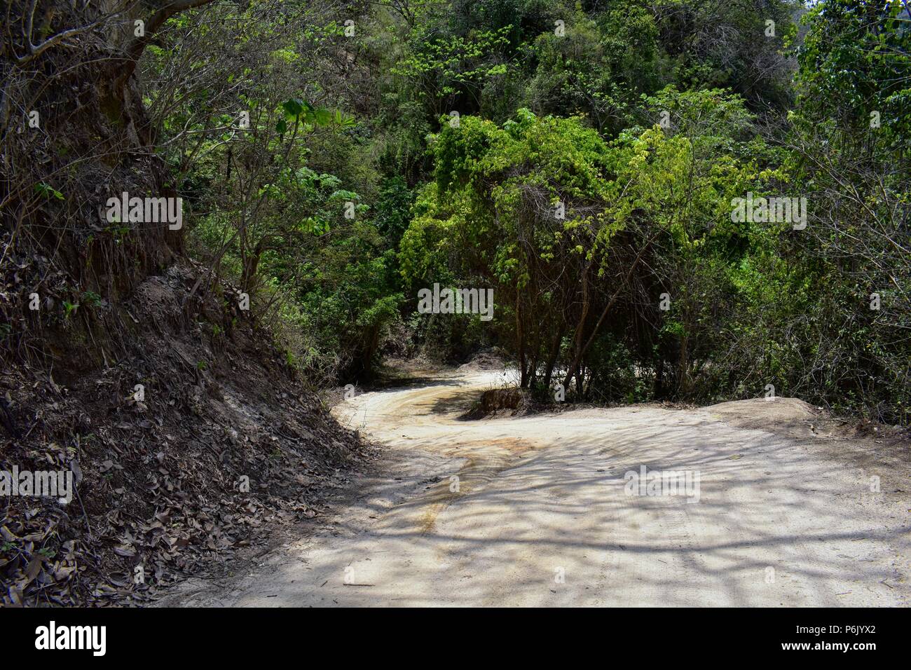 Jungle Landscape views from the rural small village road to El Eden by ...