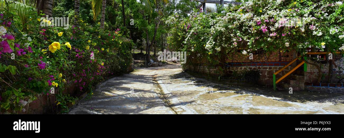 Jungle Landscape views from the rural small village road to El Eden by ...
