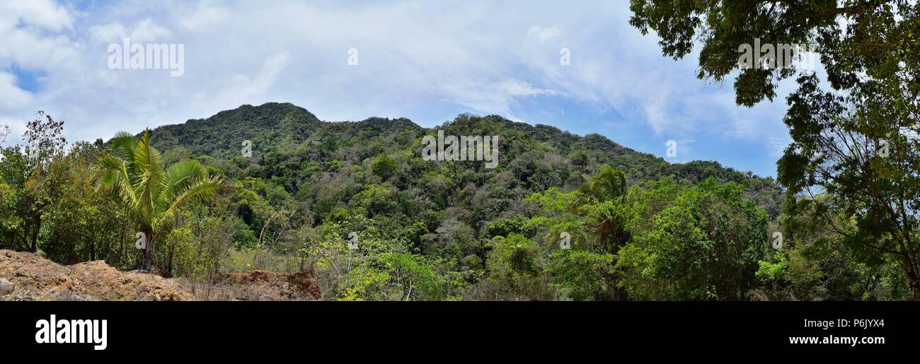 Jungle Landscape views from the rural small village road to El Eden by ...