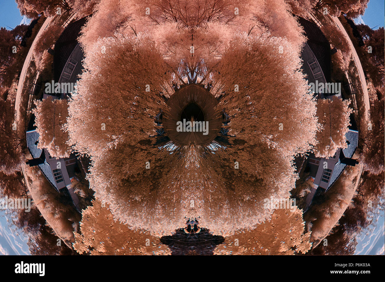 Symmetrical design of trees surrounded by houses Stock Photo - Alamy